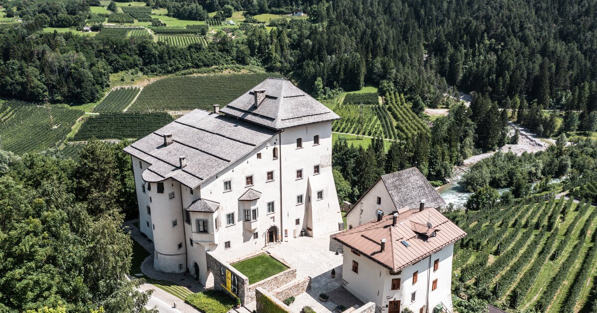 Musei e castelli con Val di Sole Guest Card