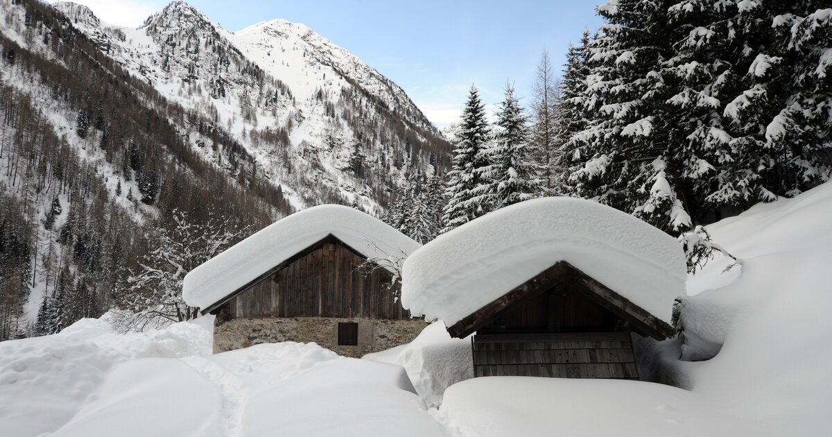 Andar per Monti - The mountains dress in white: it’s winter – Peio