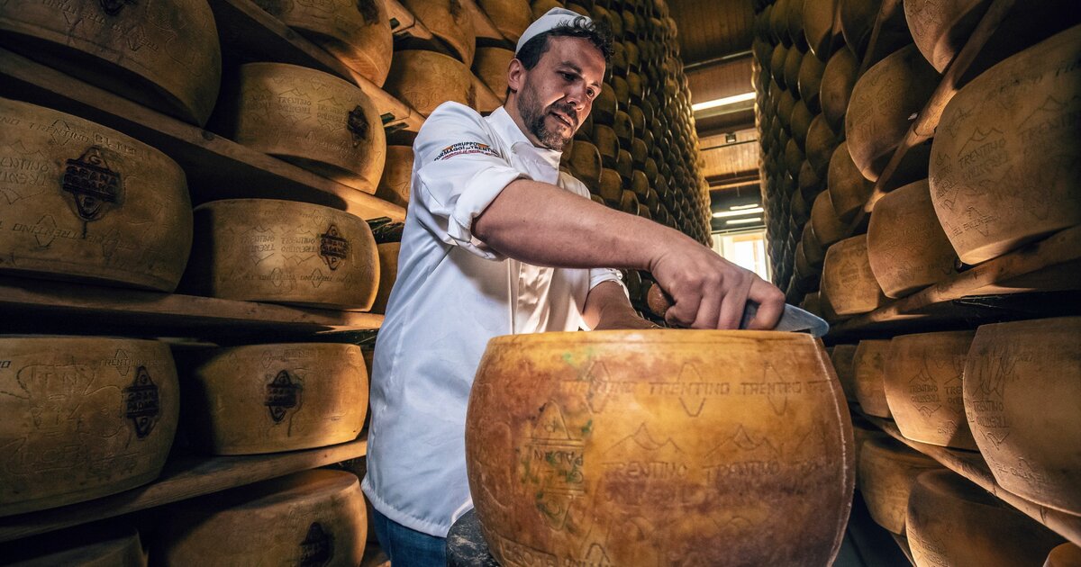 The scent of tradition: in the cheese vault