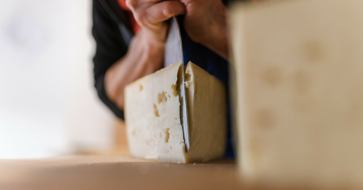 Discover alpine cheese and local surroundings through all 5 senses