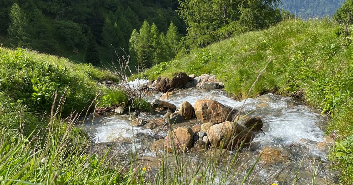 Sorsi di Natura nel Parco | Val di Sole - Trentino