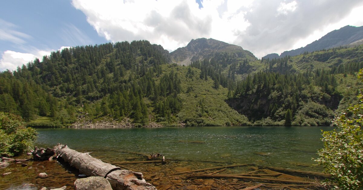 Andar per Monti: Lago di Barco, Val di Sole Trentino