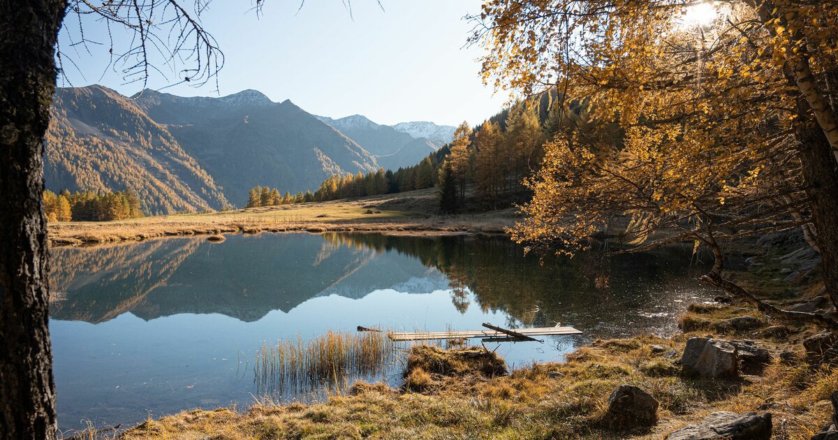 Alba protetta in Val di Peio